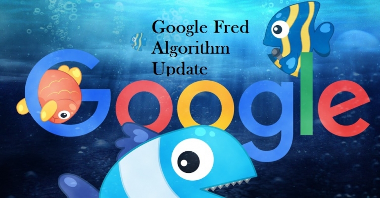 Google Fred Ranking Update Shakes the SEO World