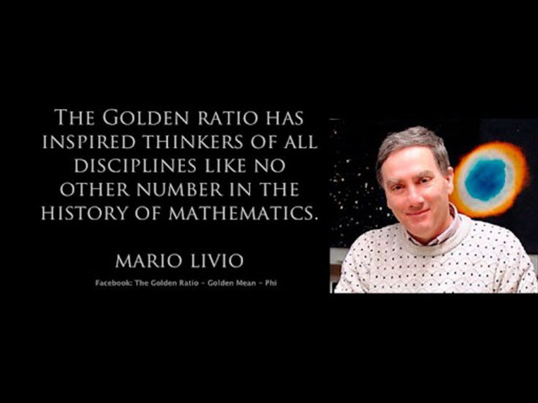 Why Does The Fibonacci Sequence Appear So Often In Nature 7094